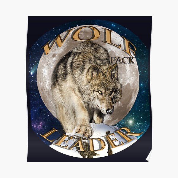 "Wolf Pack Leader in Full Moon" Poster by Davidpy | Redbubble