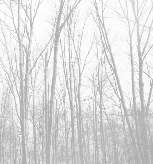 "faded trees" Posters by SOVRIN | Redbubble