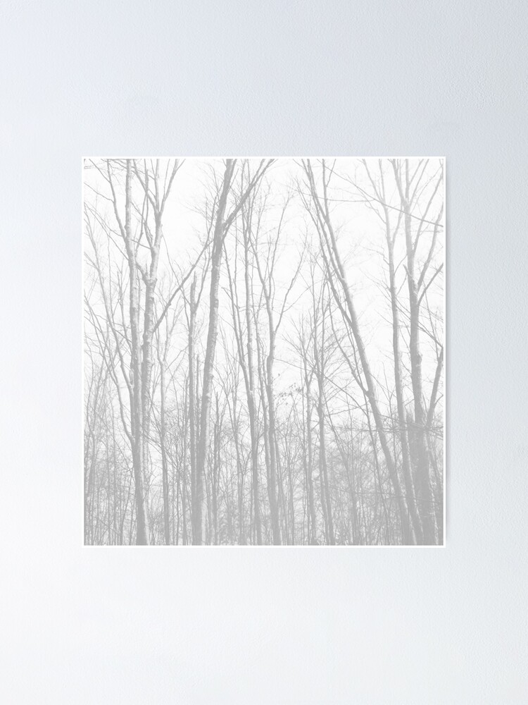 "faded trees" Poster for Sale by SOVRIN | Redbubble