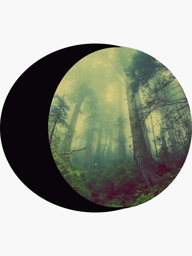 "Moon and forest" Sticker for Sale by IsaLanglois | Redbubble