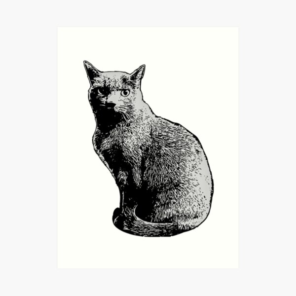 "Cat Russian Blue Your Daily Cletus Kitty Gray Black and White Feline ...