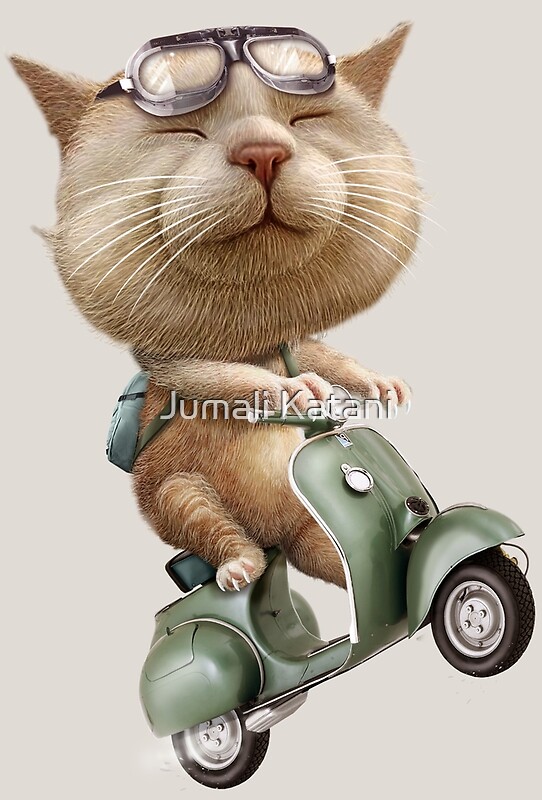 "RUNAWAY CAT " by MEDIACORPSE | Redbubble