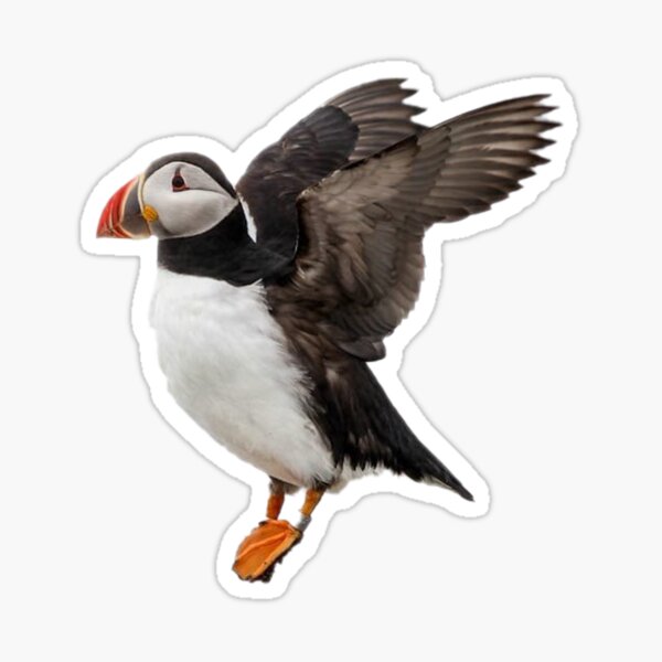 Puffin Merch & Gifts for Sale | Redbubble