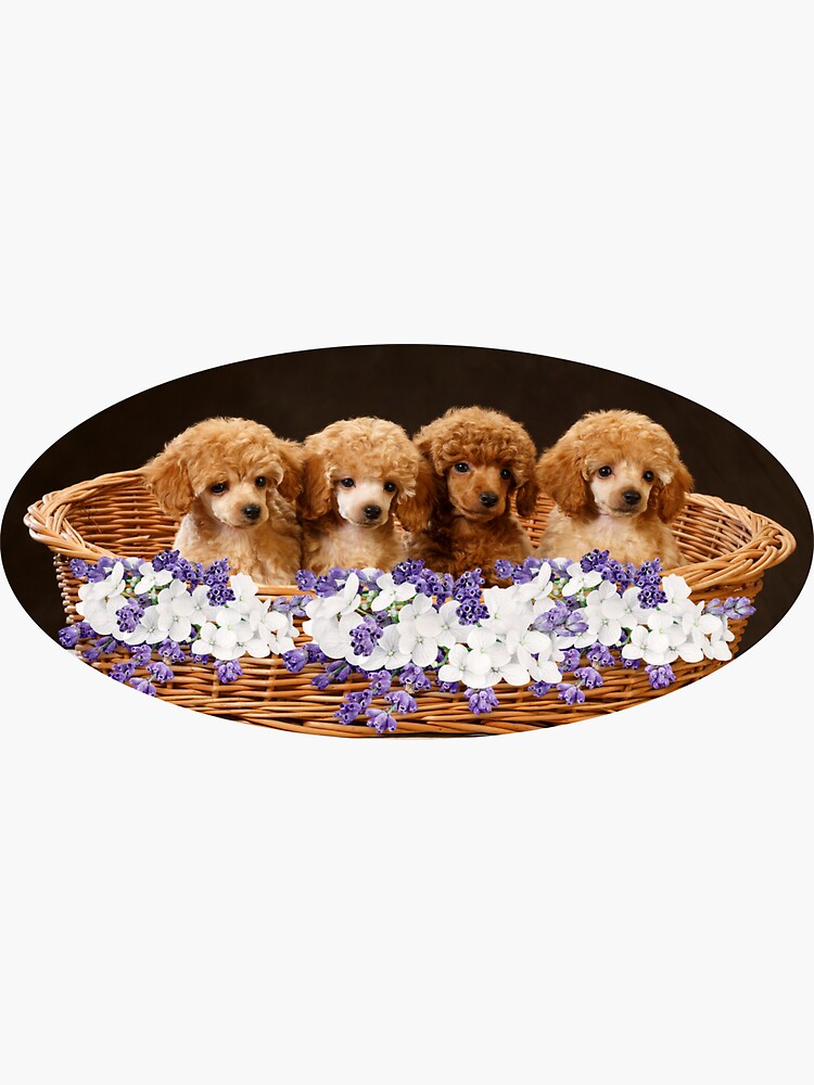 "cute puddle sticker" Sticker for Sale by Monry | Redbubble