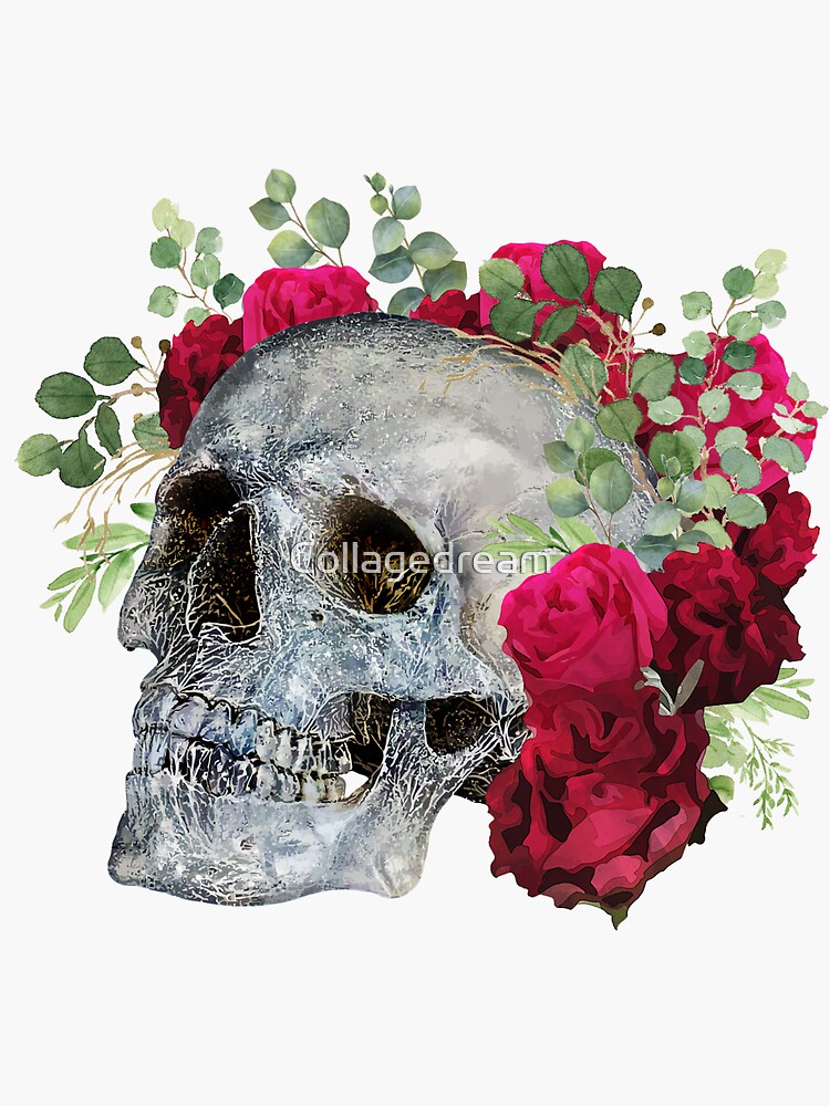 "Skull human anatomy red roses, watercolor roses, cool, anatomy art ...