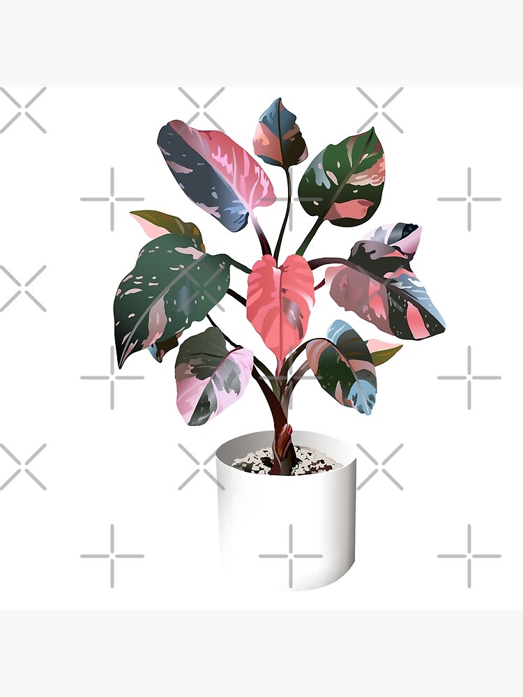 "Pink Princess Philodendron in Pot Graphic Drawing" Poster by Akvauter ...