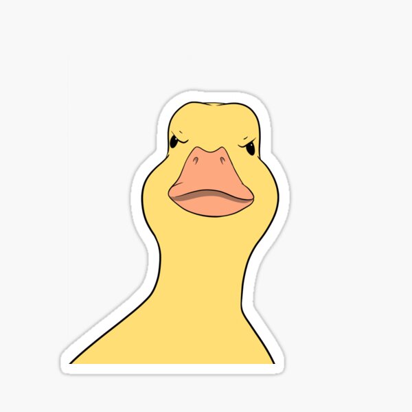 "Angry duck" Sticker for Sale by parkhyuck | Redbubble