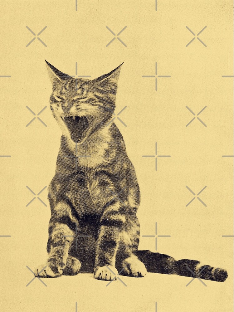 "Cat yawn" Sticker by GranPasso | Redbubble