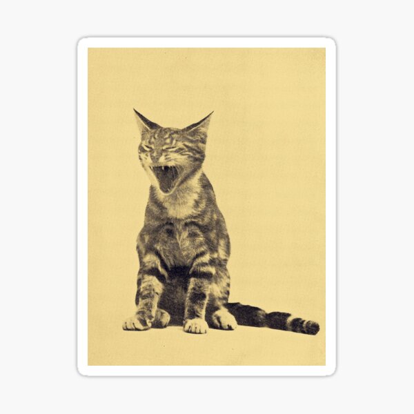 "Cat yawn" Sticker by GranPasso | Redbubble