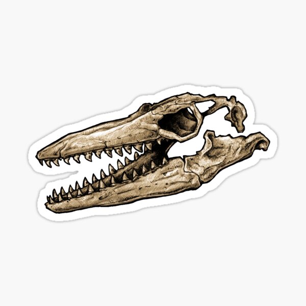 "Dinosaur Skull Mosasaurus Sticker " Sticker for Sale by CassWArt ...
