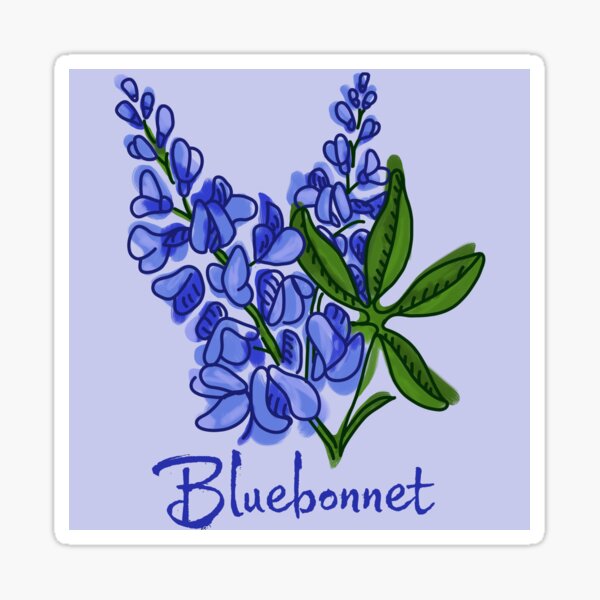 "Bluebonnet" Sticker for Sale by unhingedheather | Redbubble