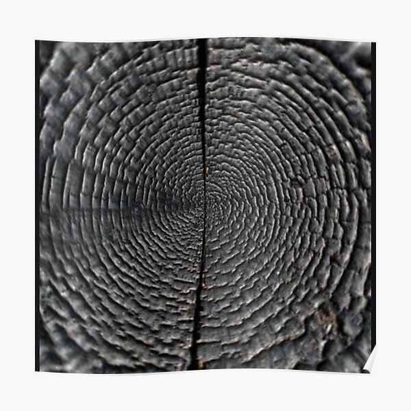 "Spiral log Charcoal artwork" Poster by gkunique | Redbubble
