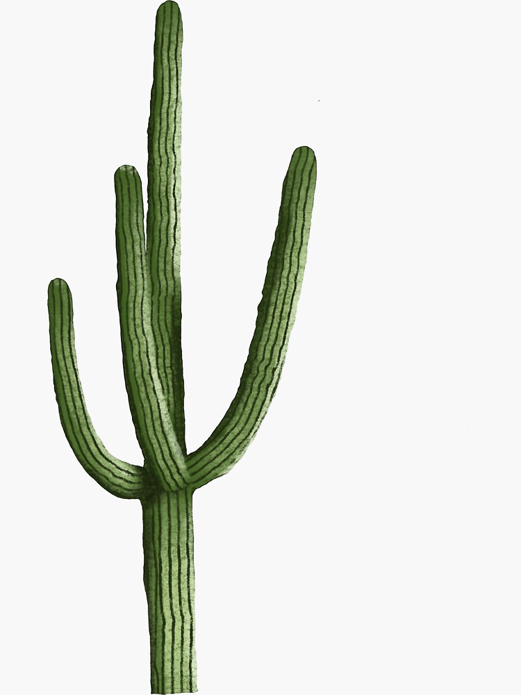 "Saguaro Cactus" Sticker for Sale by Holzyyyy | Redbubble