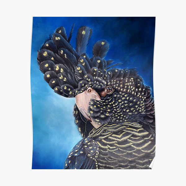 "Black cockatoo" Poster for Sale by casshanley | Redbubble