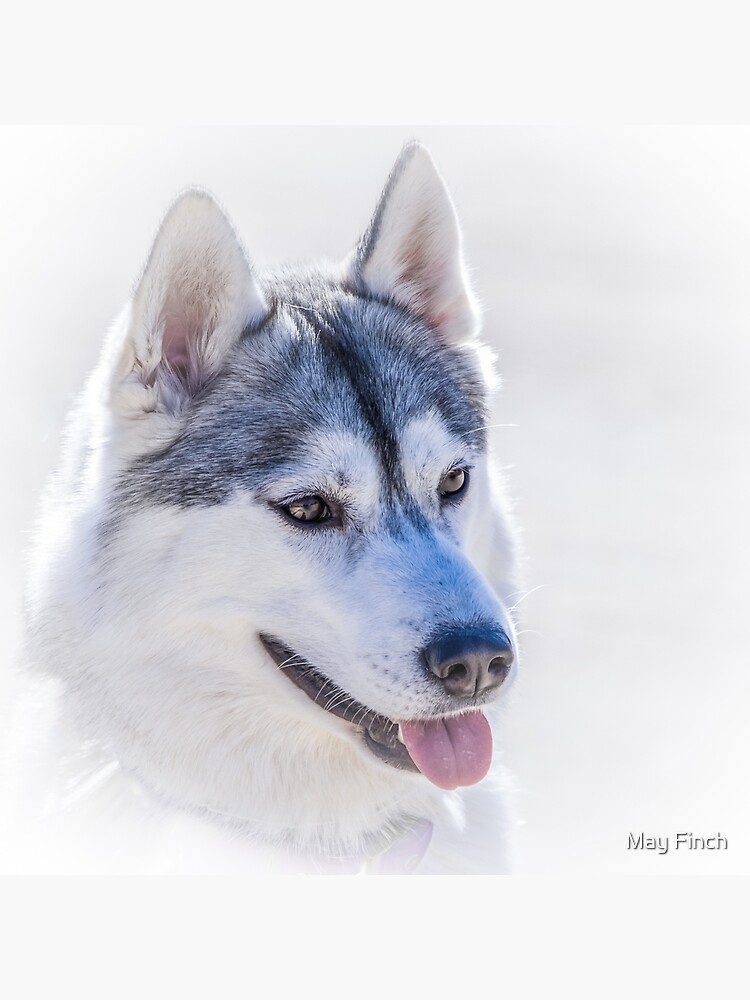 Husky Bags for Sale | Redbubble