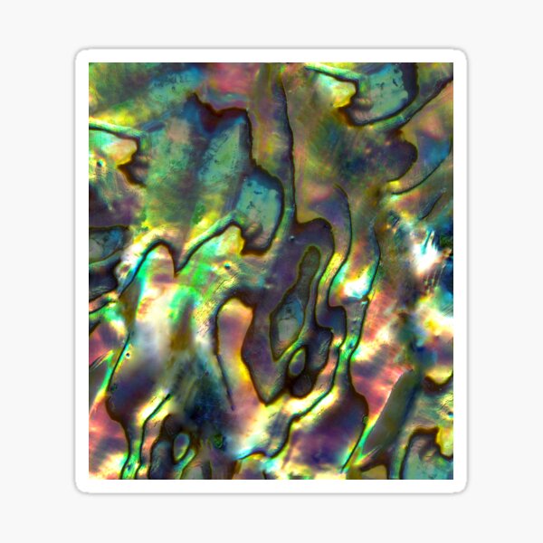 "Shiny Rainbow Abalone Shell" Sticker by TinyGinkgo | Redbubble
