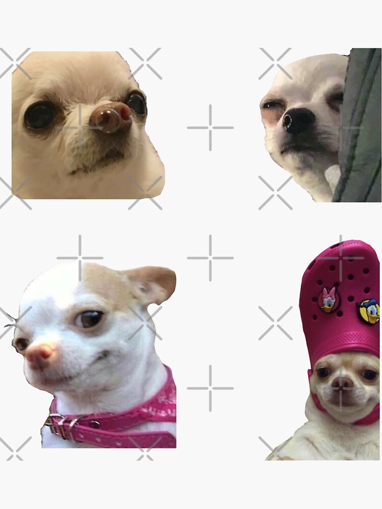 "Chihuahua Meme Pack" Sticker by NeoVerse | Redbubble