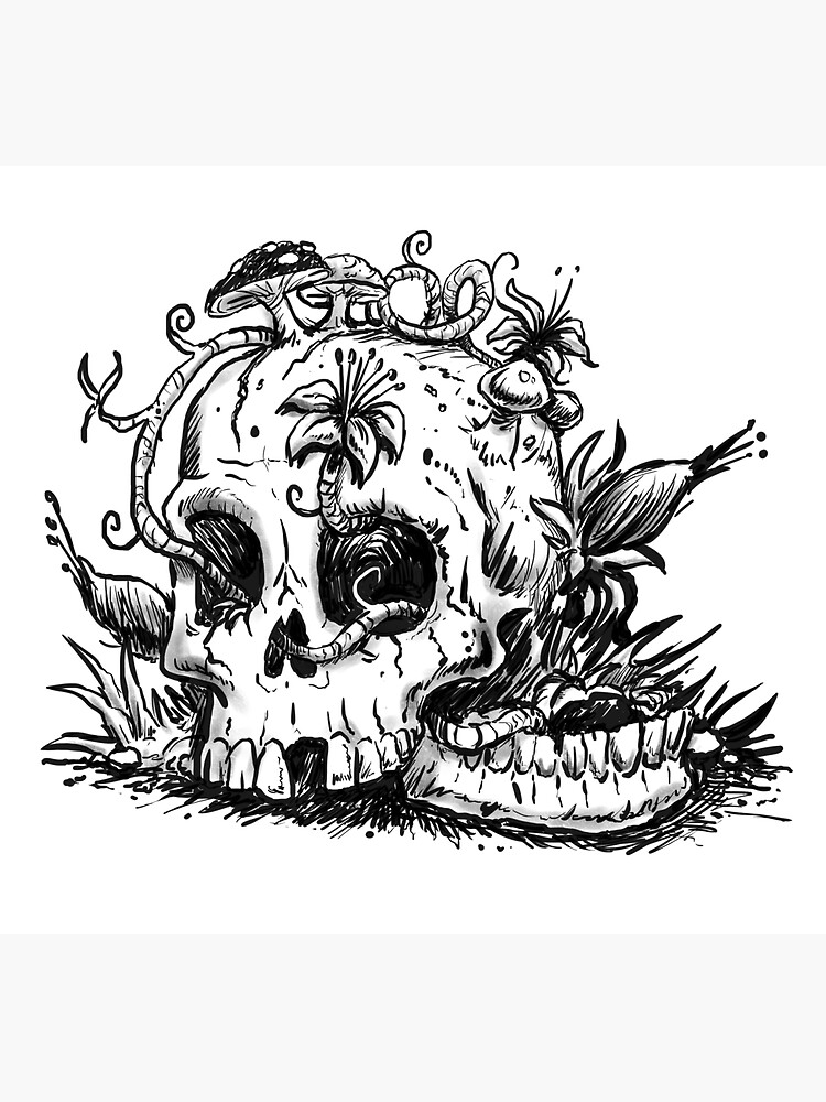 Nature Skull Art Memento Mori: Life And Death In Western Art From