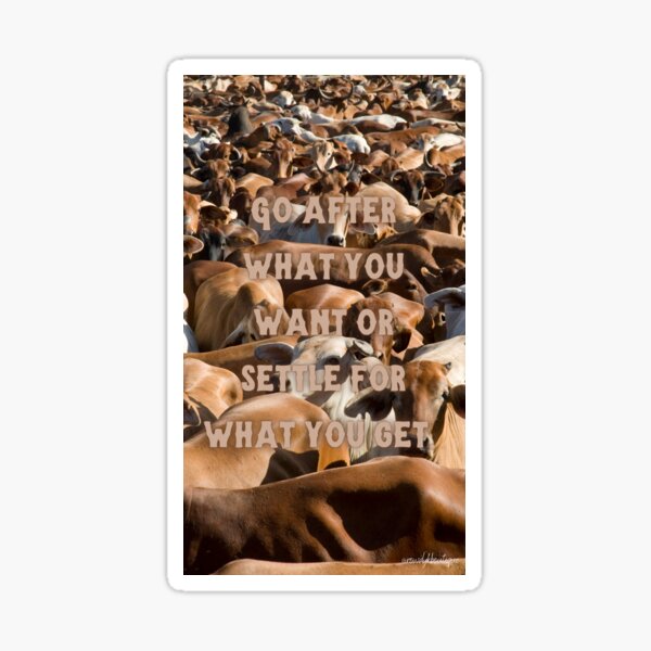 "Cattle Motivational Sticker" Sticker for Sale by midwestgrace | Redbubble