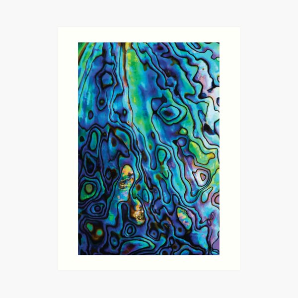 "New Zealand Paua Abalone Blue Green Yellow Sea Shell Natural Pattern ...