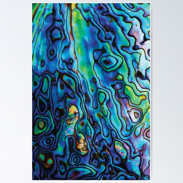 "New Zealand Paua Abalone Blue Green Yellow Sea Shell Natural Pattern ...