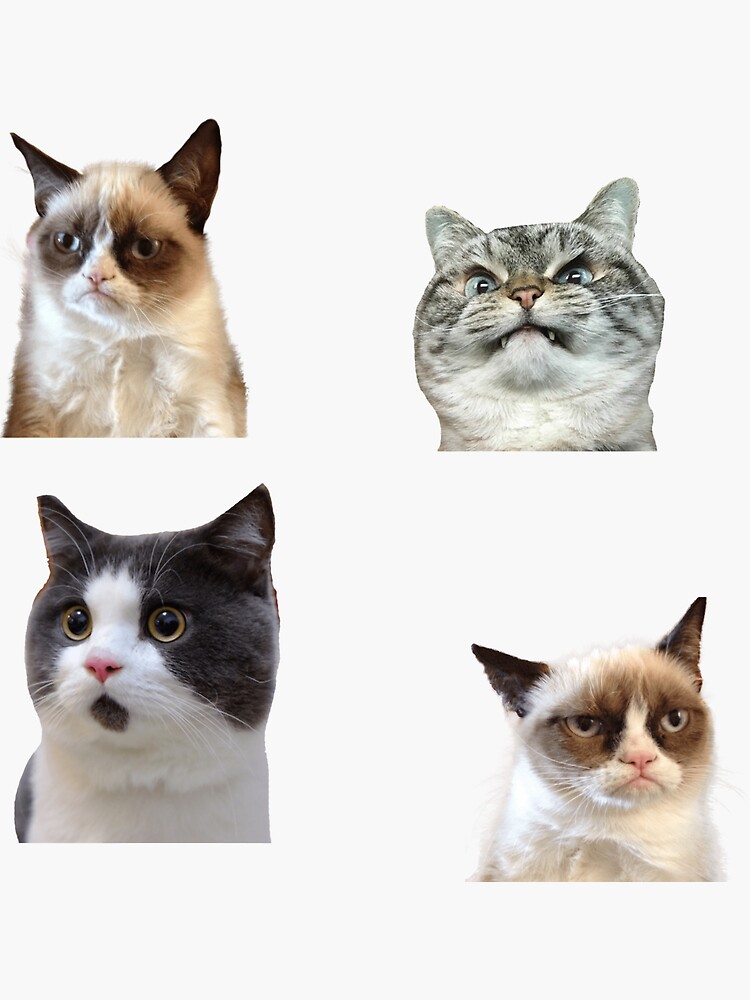 "Cat meme collection" Sticker for Sale by MrMalphe | Redbubble