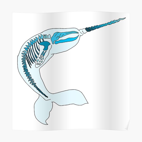 Póster «Esqueleto de narval azul» de mhoffman20 | Redbubble