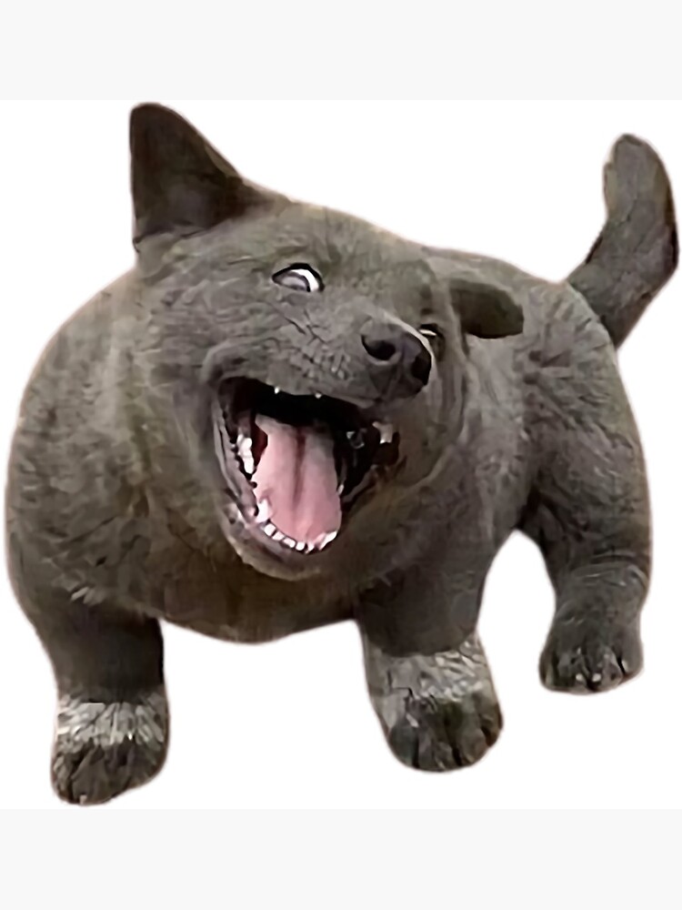 Póster «Perro Meme divertido y burlándose» de Tanikuba | Redbubble