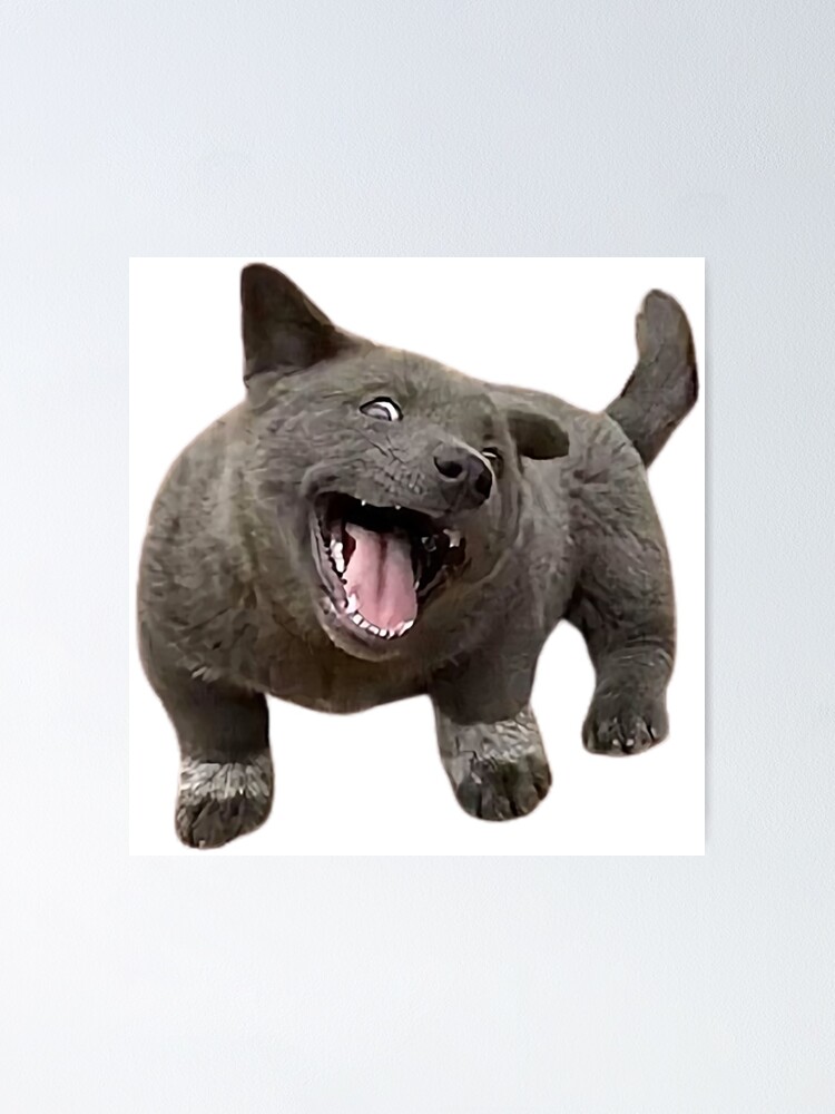 Póster «Perro Meme divertido y burlándose» de Tanikuba | Redbubble