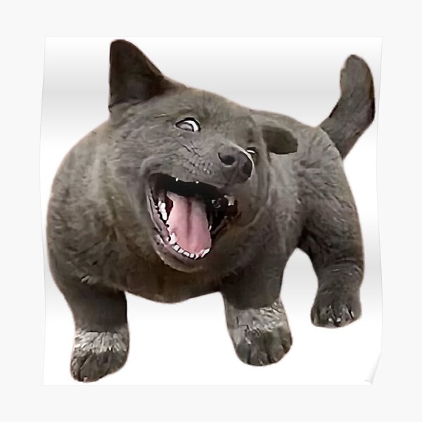 Póster «Perro Meme divertido y burlándose» de Tanikuba | Redbubble