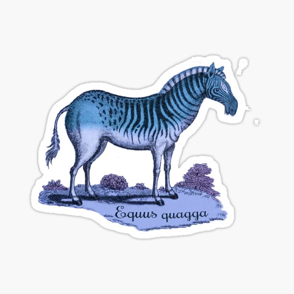 "Zebra Vintage Design - Equus quagga" Sticker for Sale by ...