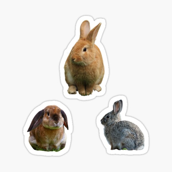 "cute bunny sticker pack" Sticker for Sale by takatakataka | Redbubble