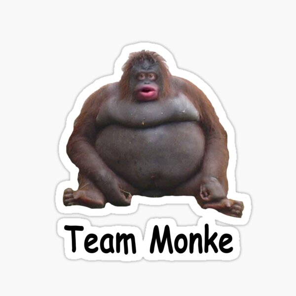 "Team monke" Sticker for Sale by Gustavart | Redbubble