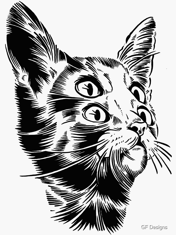 "Cool Four Eyed Cat " Sticker for Sale by guifranco | Redbubble