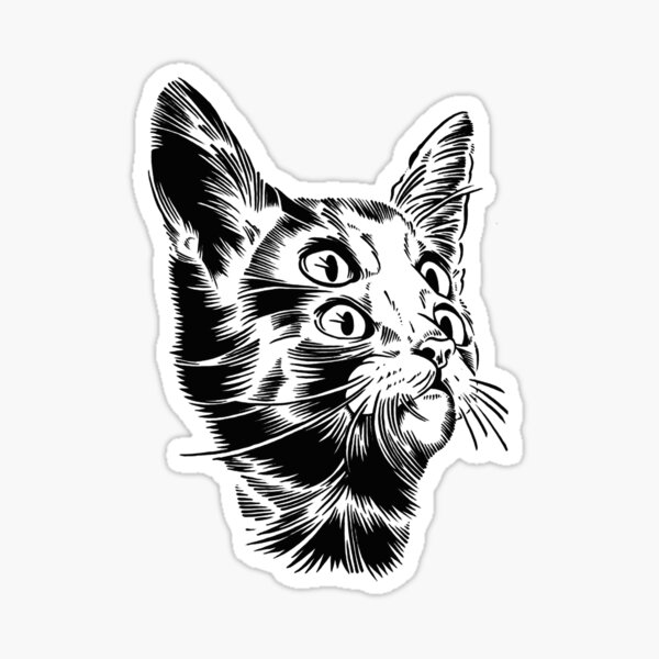 "Cool Four Eyed Cat " Sticker for Sale by guifranco | Redbubble