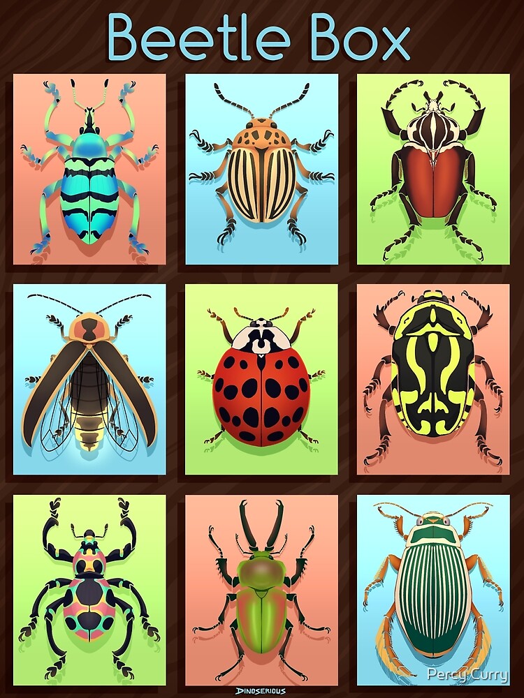 "beetle box" Poster by Tynaminnow | Redbubble