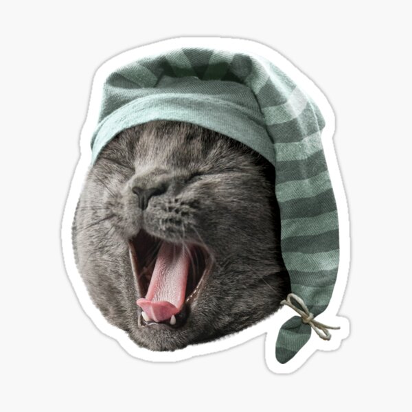 "Sleepy Cat - Cat wearing Nightcap" Sticker for Sale by sketchworks ...