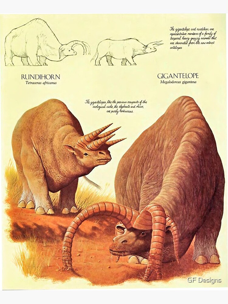 After Man A Zoology Of The Future