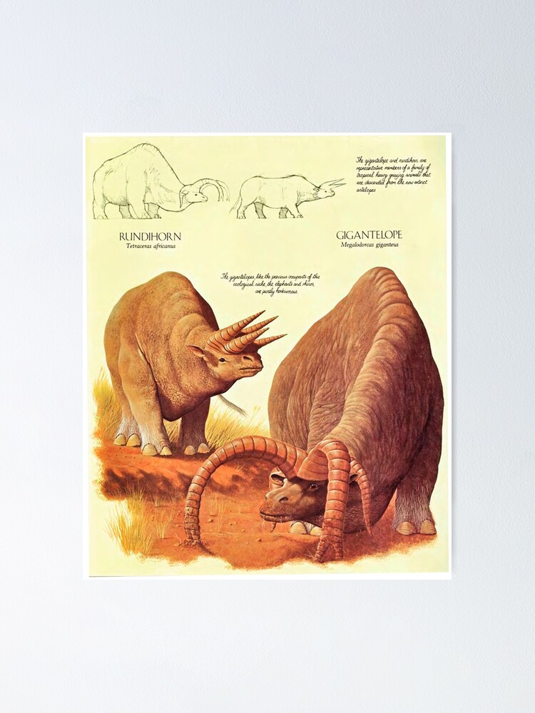 "After Man: A Zoology of the Future " Poster for Sale by guifranco ...