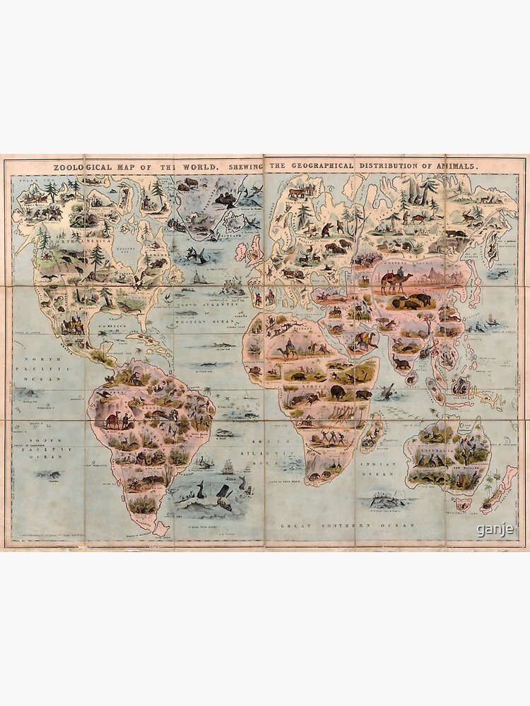 "Zoological Map of the World in 1844" Art Print for Sale by ganje ...