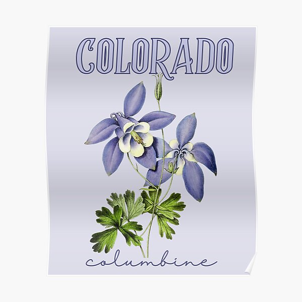 " Colorado state flower Columbine " Poster by Nyanko-Sempai | Redbubble