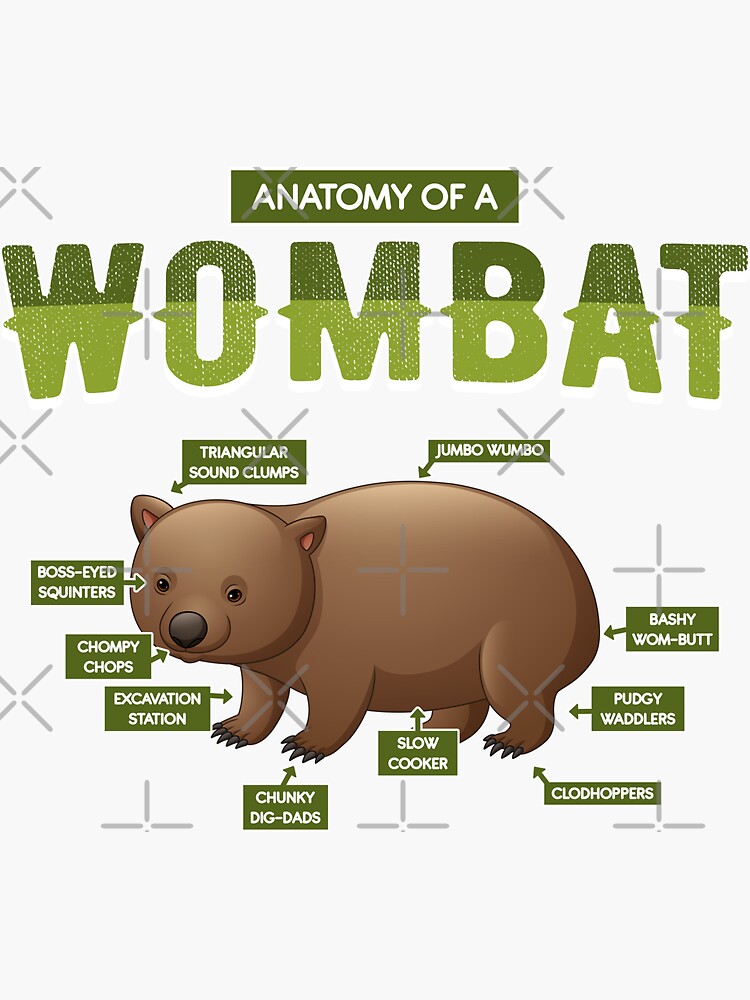 "Anatomy of a Wombat - cute and fun animal tees." Sticker for Sale by ...