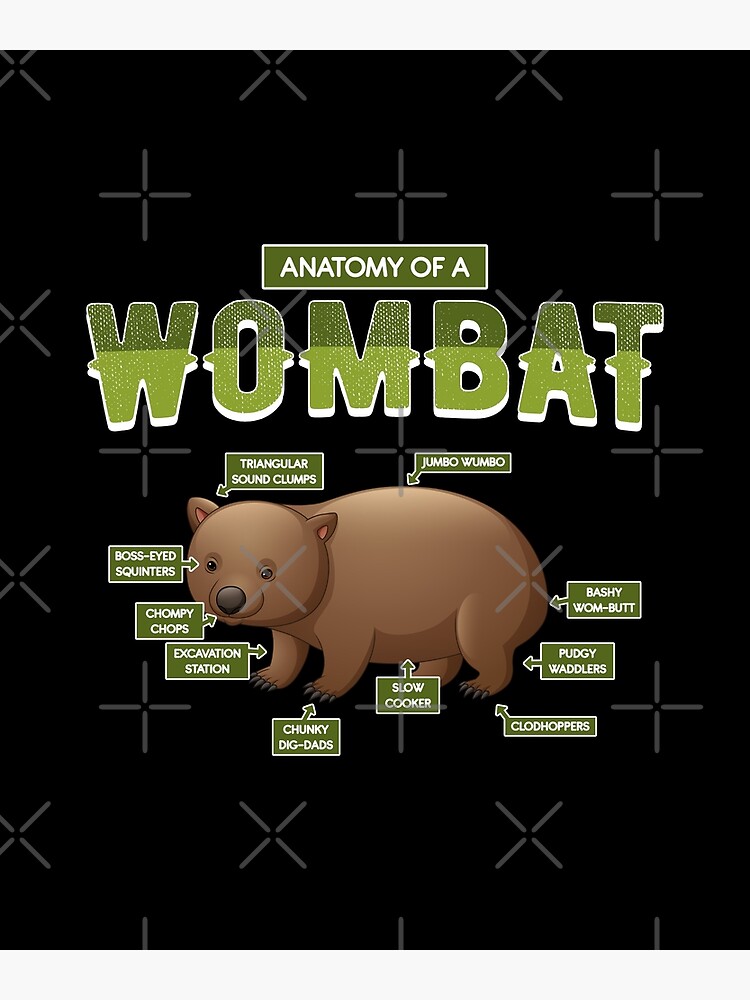 Póster «Anatomy of a Wombat: camisetas de animales lindas y divertidas ...