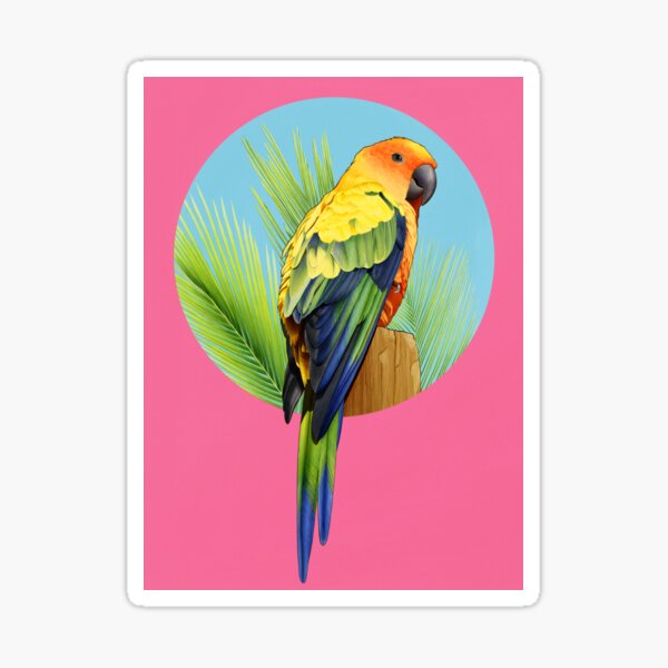 "Sun Conure" Sticker for Sale by nelidazubia | Redbubble