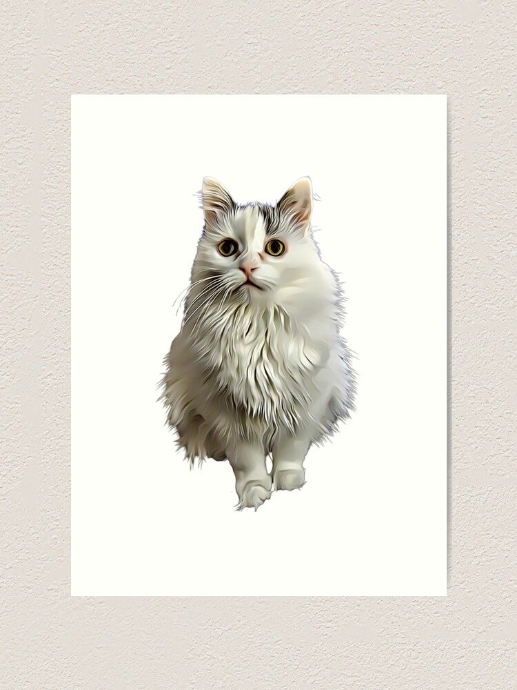 "Fluffy White Cat, Drawing" Art Print for Sale by CartoonCosmos | Redbubble