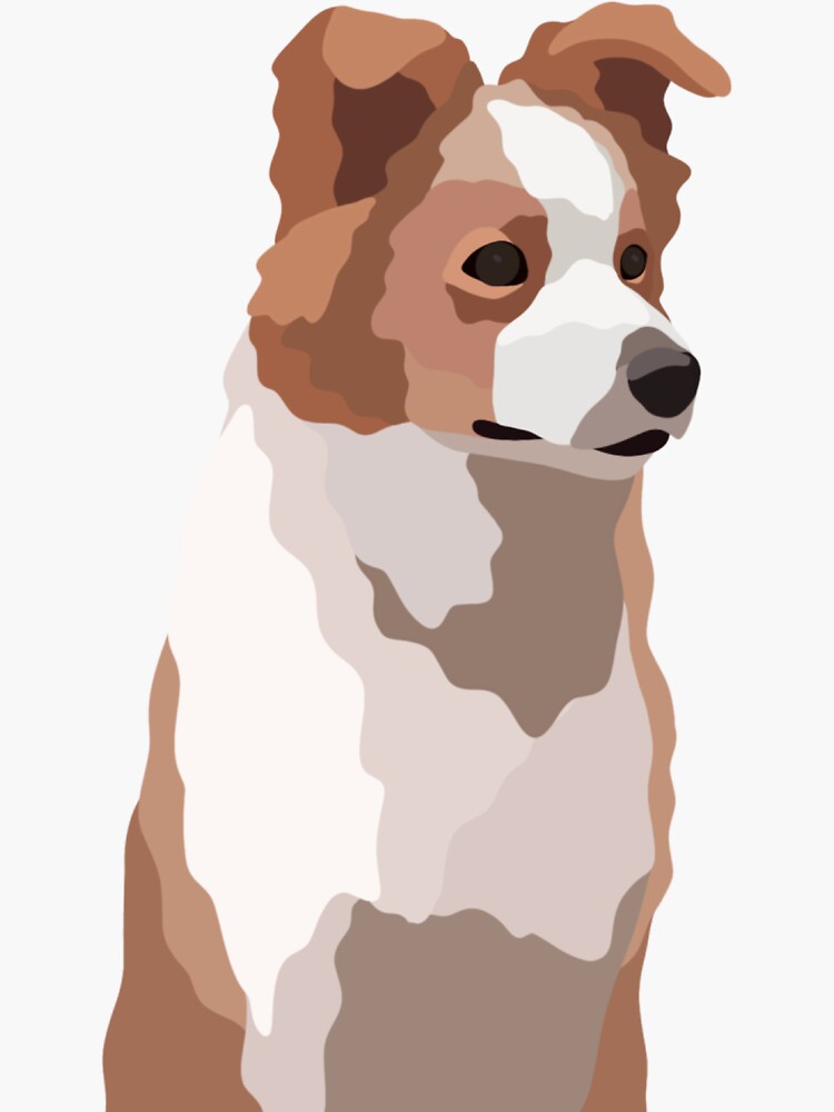 "Ginger Border Collie Dog Portrait Digital Illustration" Sticker for ...