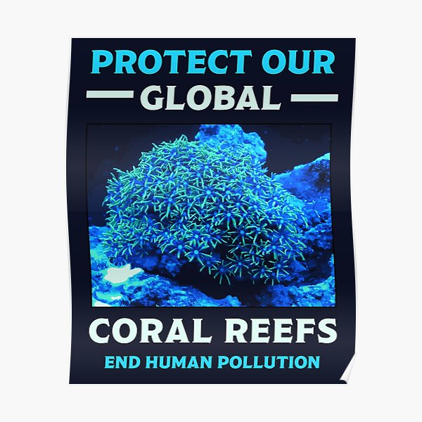 Protect Coral Reefs Posters | Redbubble