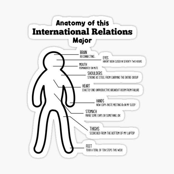 "Anatomy of this International Relations Major" Sticker for Sale by ...