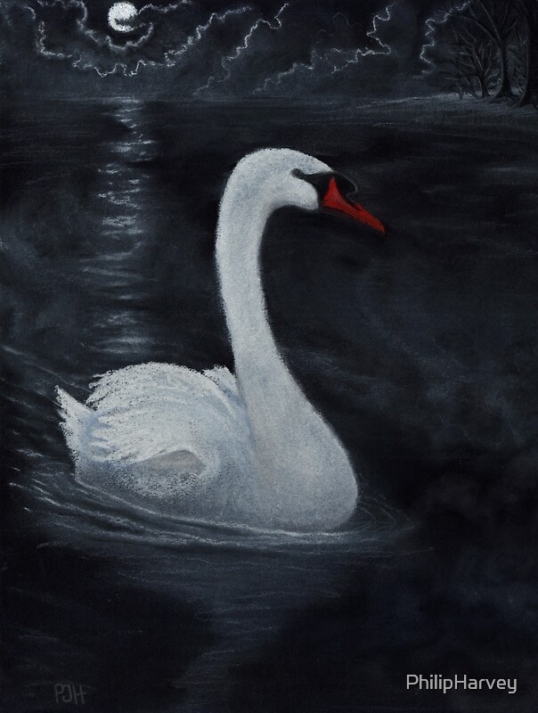 "Moonlit Night Swan" by PhilipHarvey | Redbubble