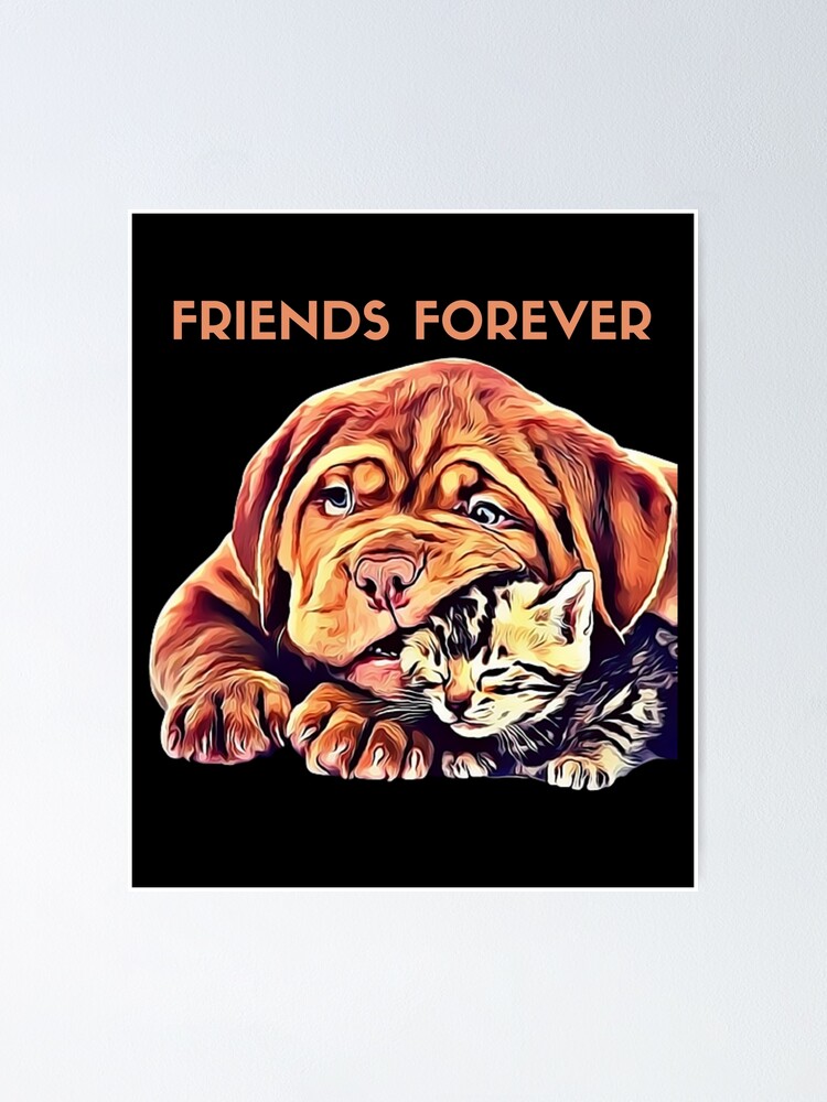 "Friends forever - Cat and Dog are friends" Poster for Sale by ...